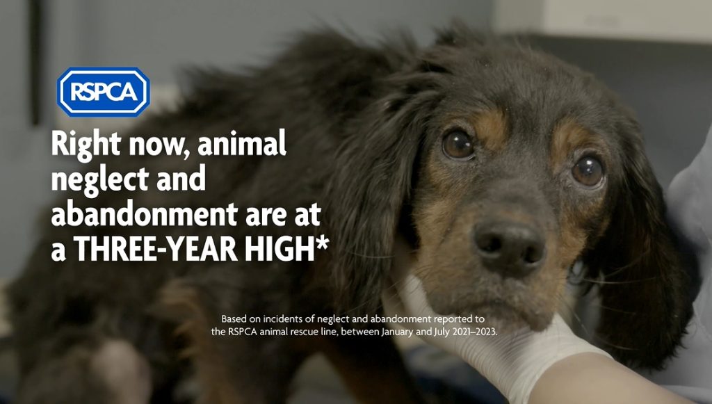 Our Work - Friday's Child